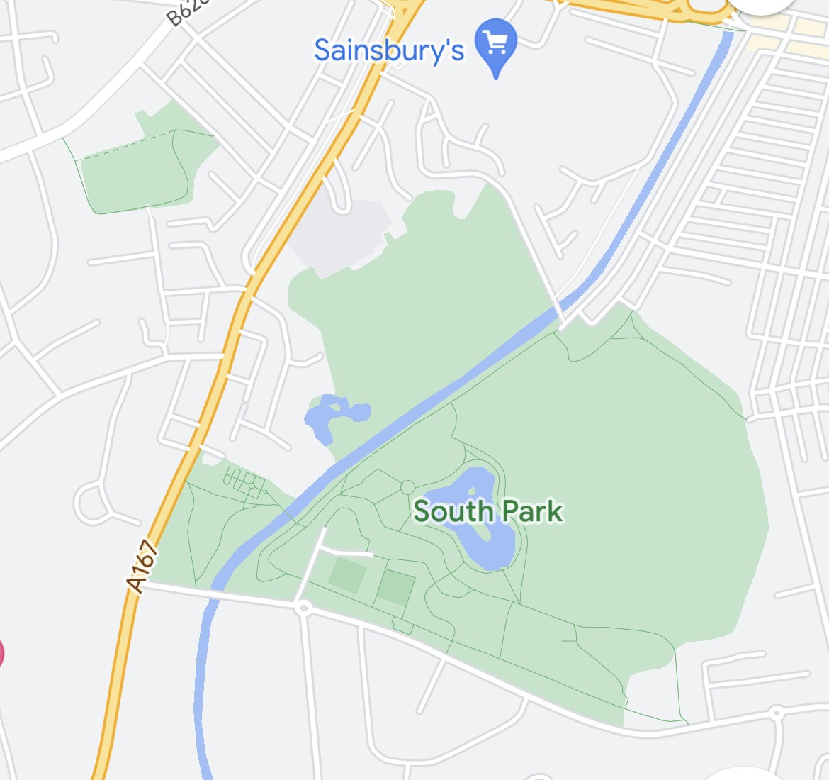 Bear In The Park – Darlington District Scouts