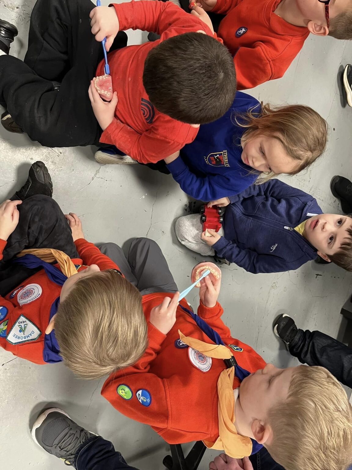 Bright and Clean – Darlington District Scouts